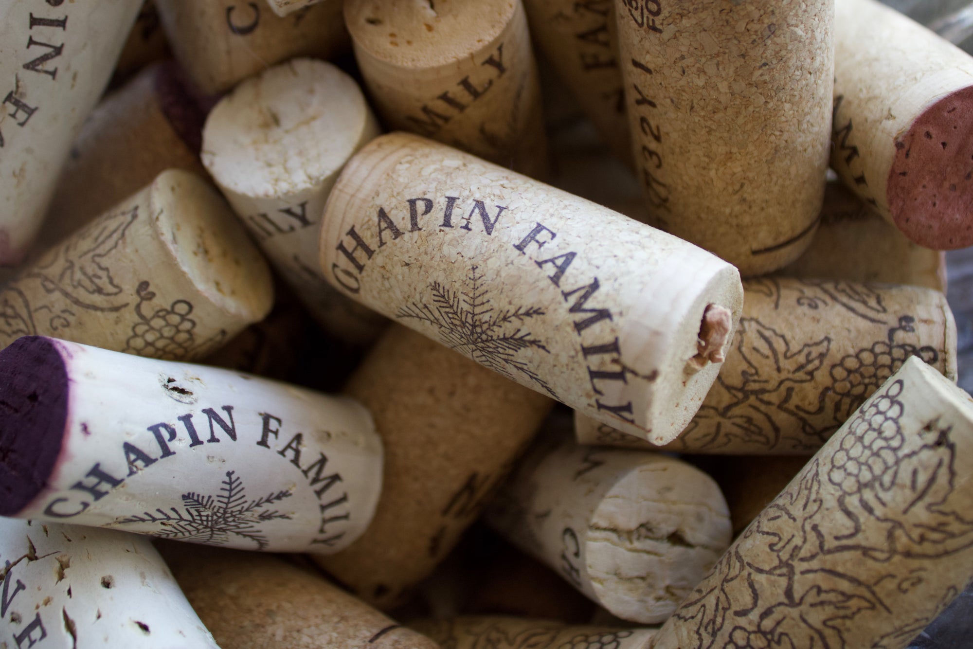 Wine Tasting at Sugarplum Zoo – Featuring Chapin Wines in Temecula ...